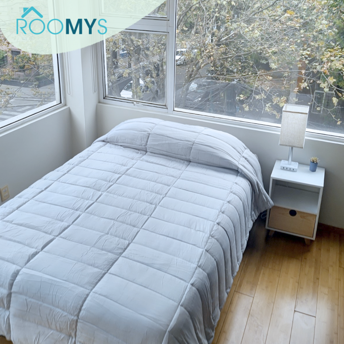 Roomys - Tu hogar temporal - Comunidad de Roomies : Roomys